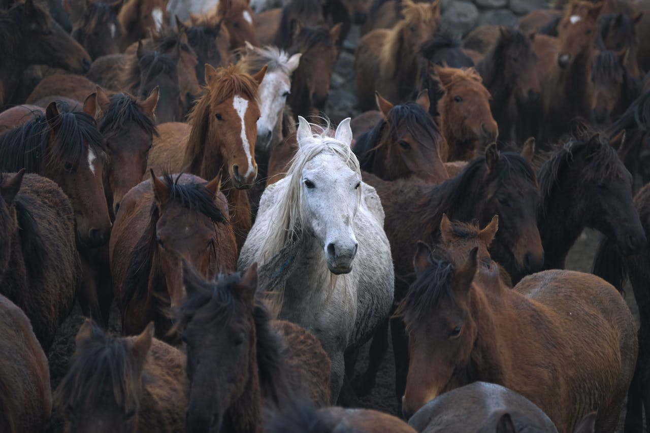 10 Ways for Your B2B Writing Business to Stand Out from the Crowd - B2B ... 10 Ways for Your B2B Writing Business to Stand Out from the Crowd - B2B ...